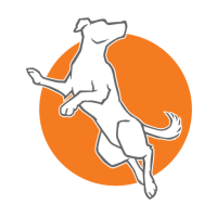 Blog – Freedom Dog Training & Behaviour